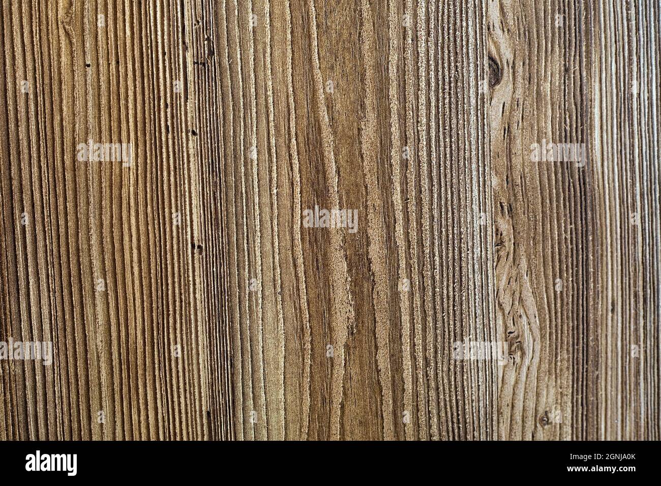 Light pine board with vertical lines. Wooden texture background ...