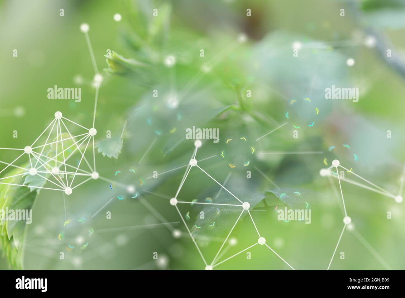 Global computer network spider web hi-res stock photography and images ...