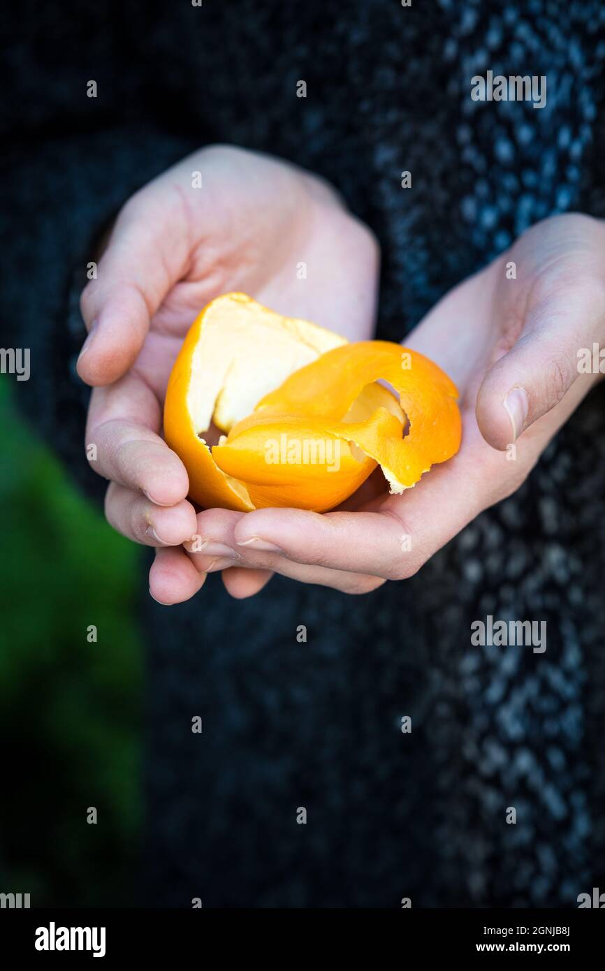 woman holds in hands peeled orange skin Stock Photo - Alamy