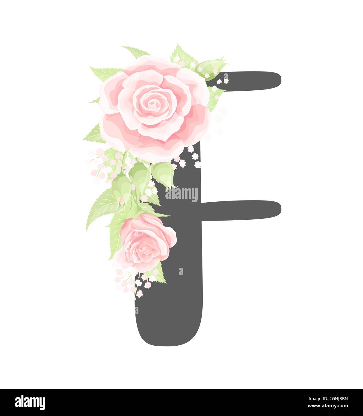 Vector floral alphabet letter F with pink cream rose flowers and green ...
