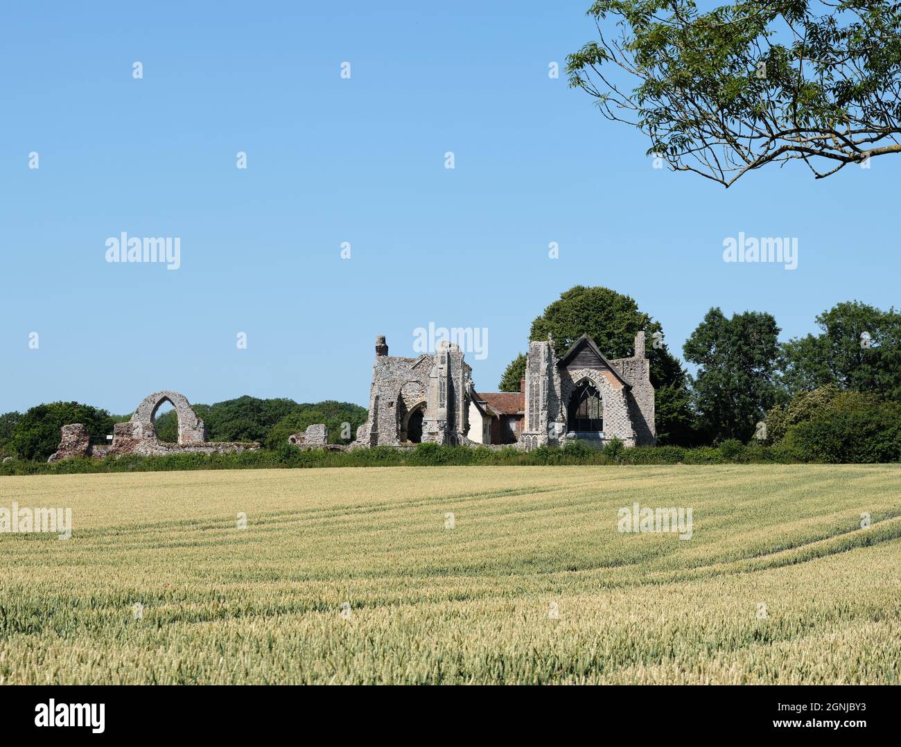 14th-century Premonstratensian Leiston Abbey in Suffolk landscape ...