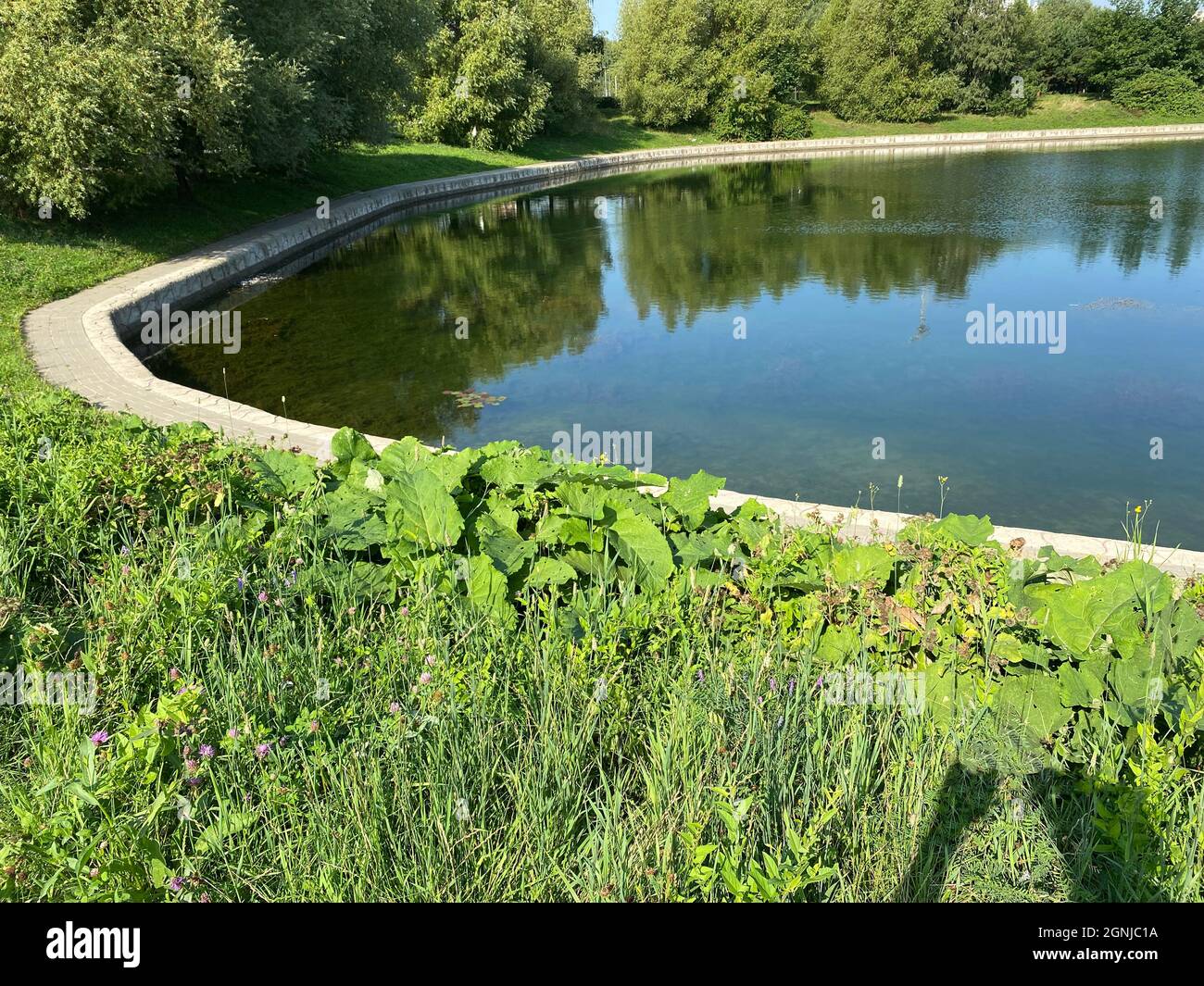 summer in city park at dry sunny day Stock Photo - Alamy