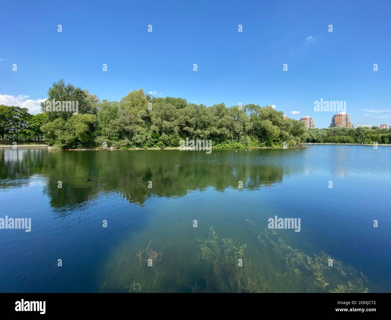 summer in city park at dry sunny day Stock Photo - Alamy