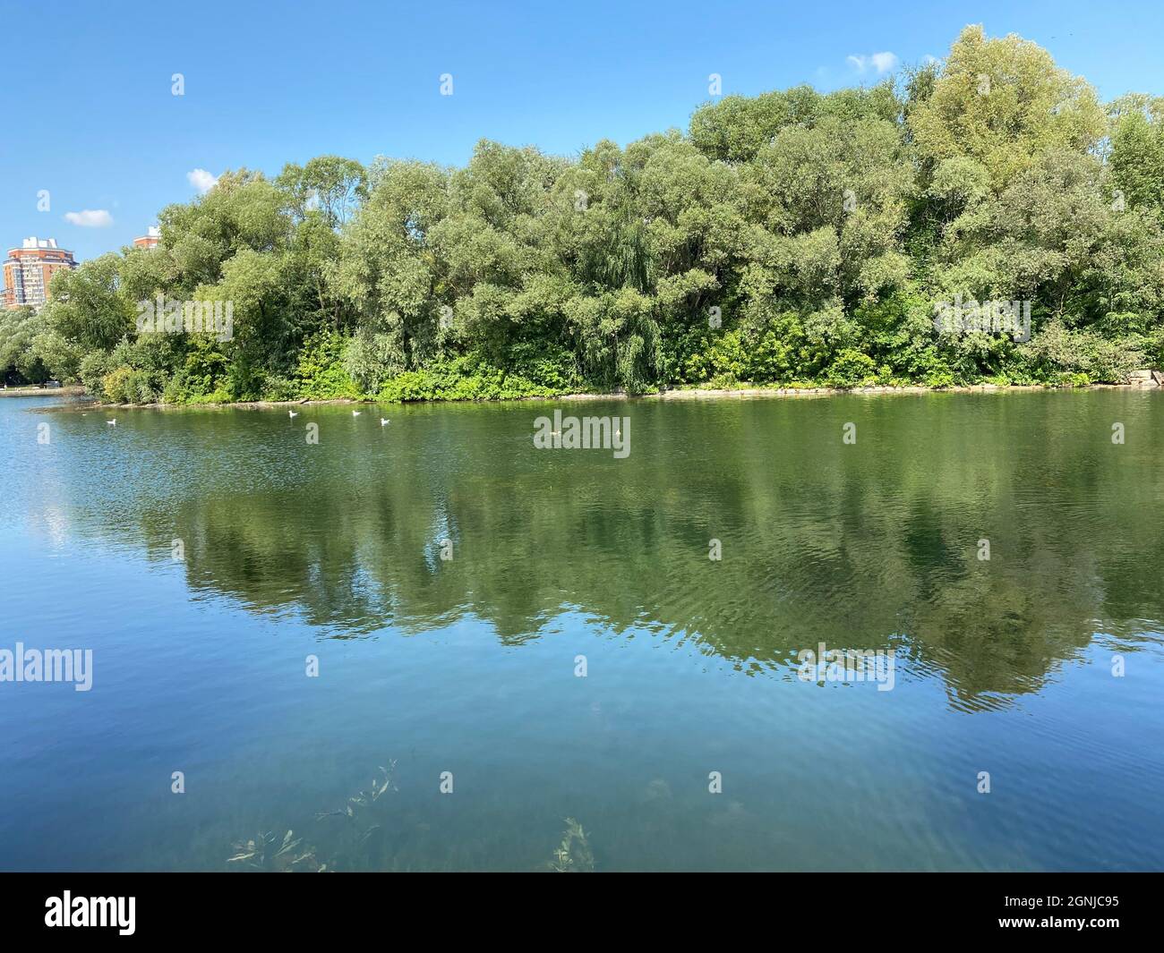 summer in city park at dry sunny day Stock Photo - Alamy
