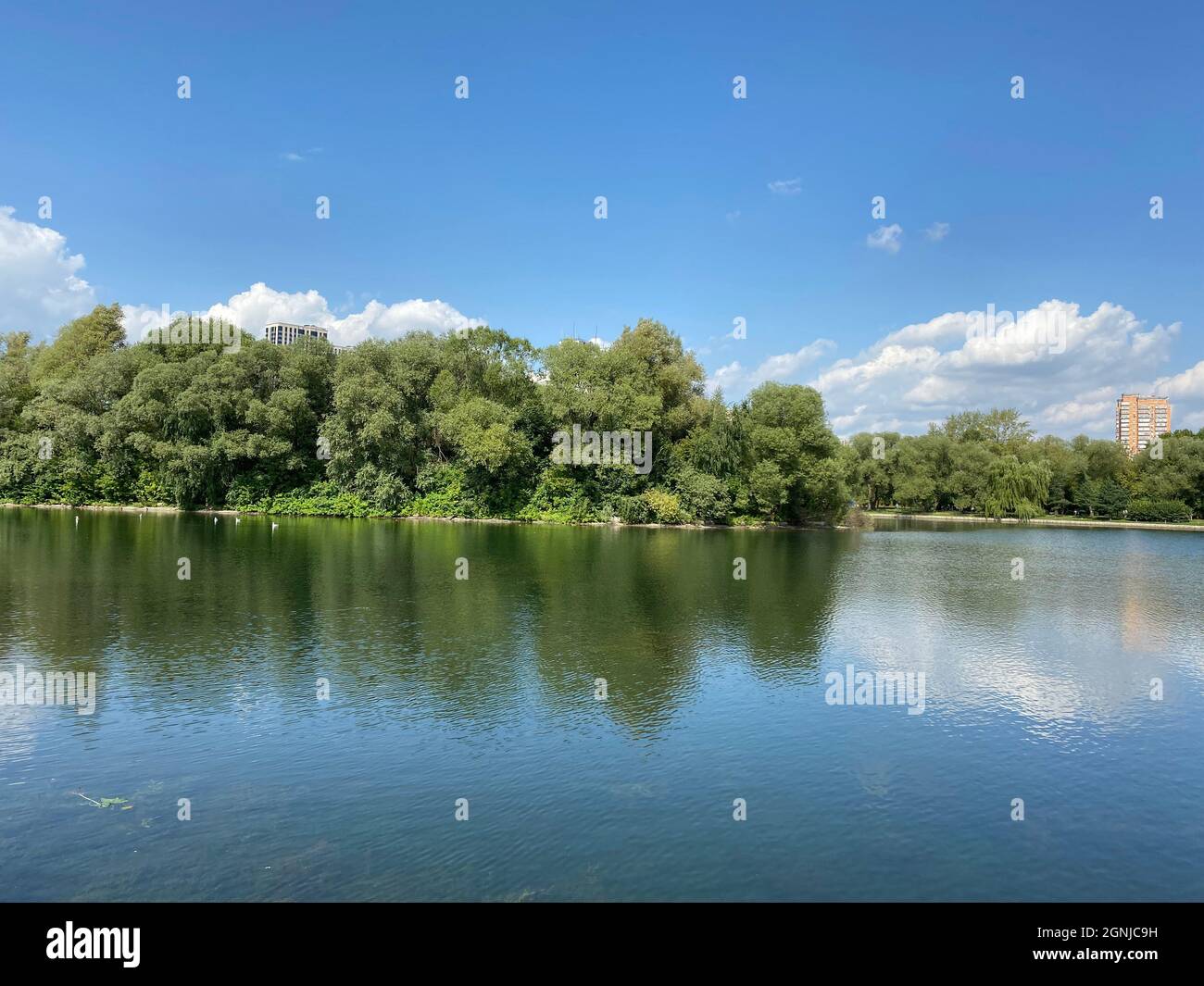 summer in city park at dry sunny day Stock Photo - Alamy