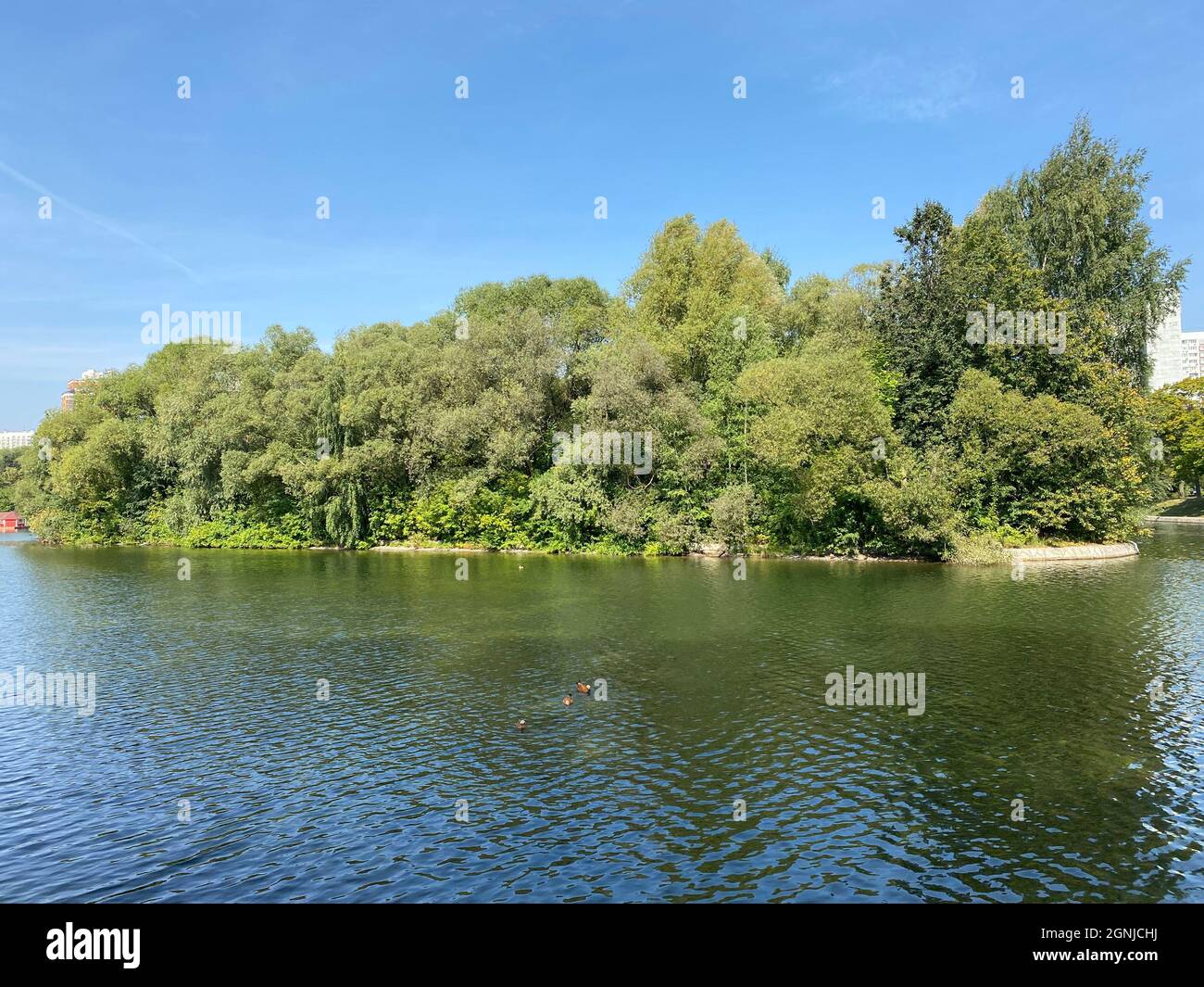 summer in city park at dry sunny day Stock Photo - Alamy