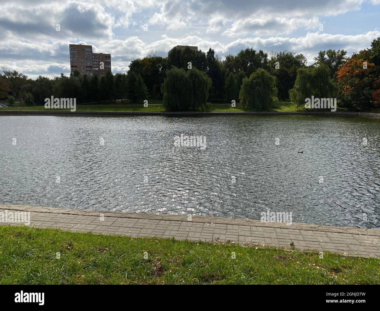 summer in city park at dry sunny day Stock Photo - Alamy