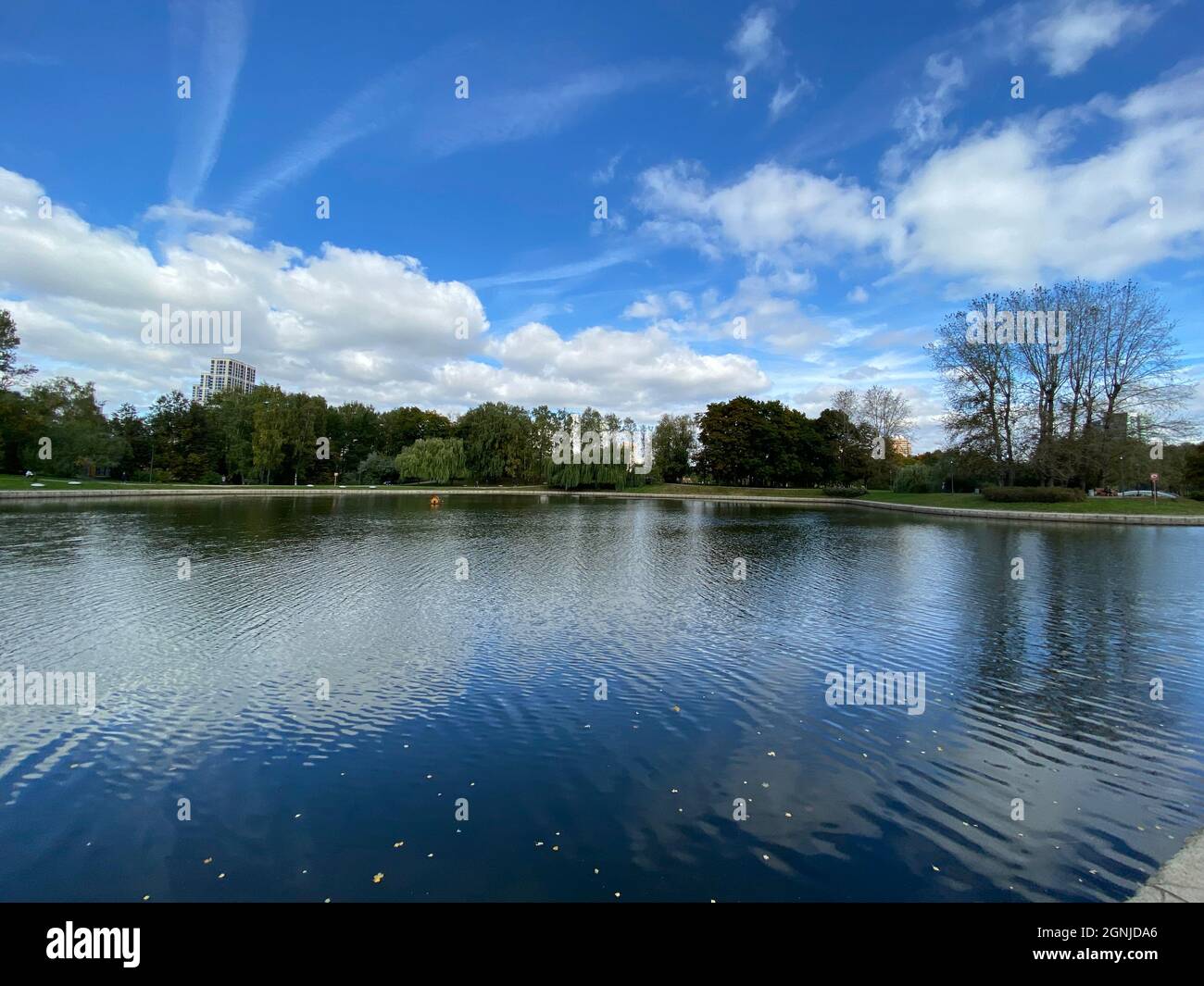 summer in city park at dry sunny day Stock Photo - Alamy