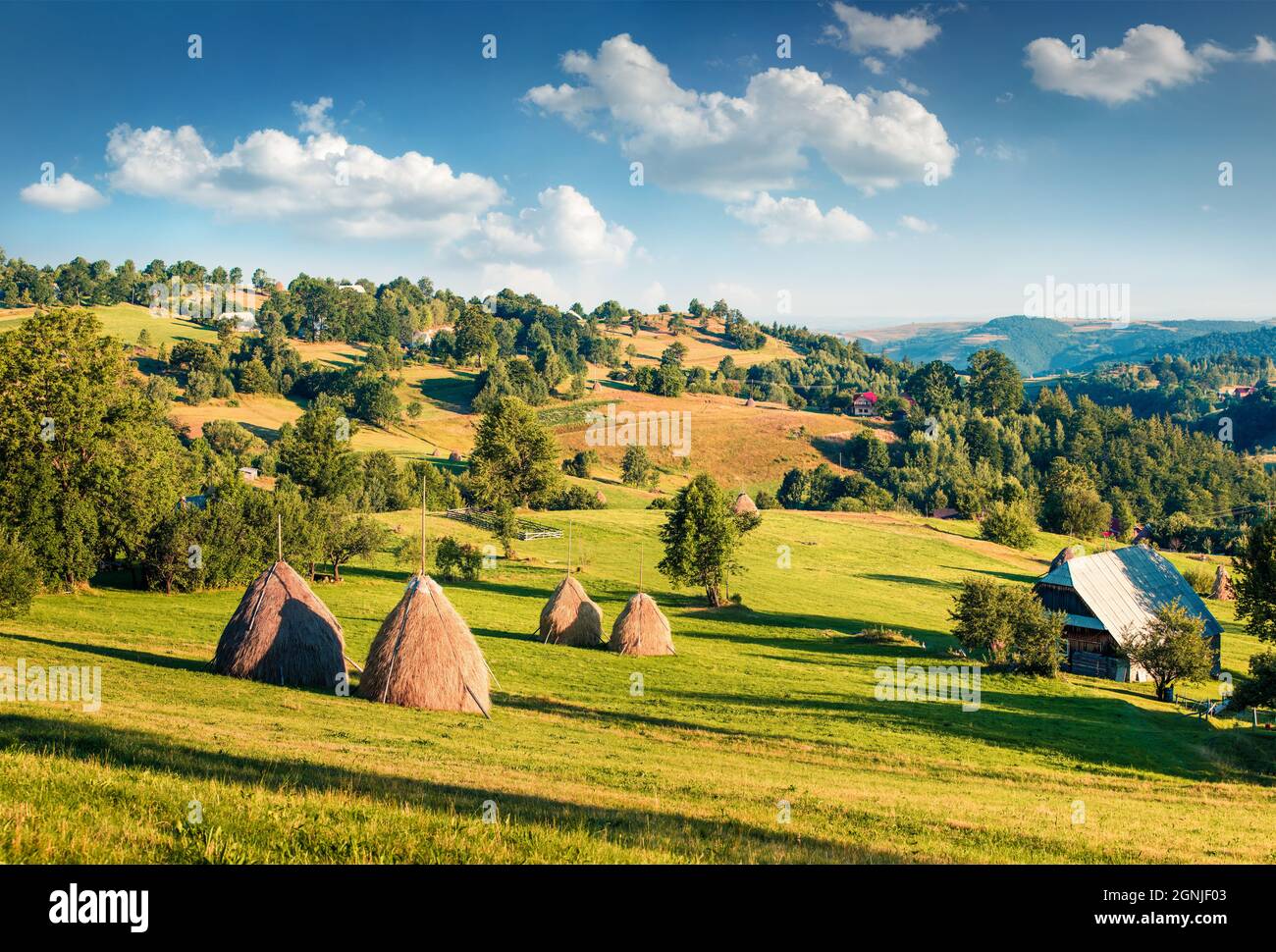 Fresh green scene of Cluj County, Romania, Europe. Bright sunny morning ...