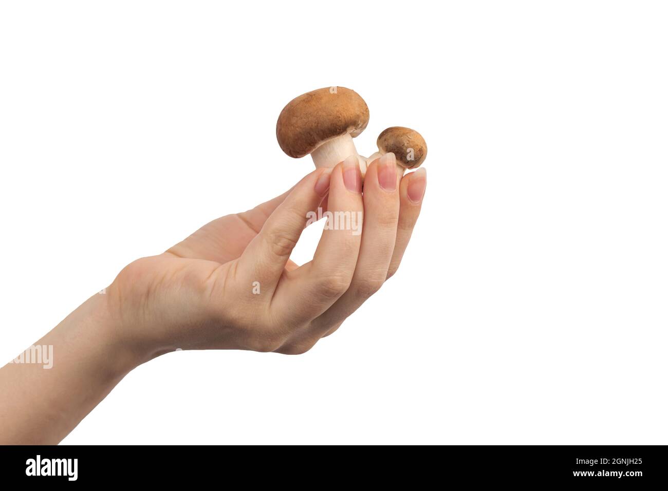 Hand with small funny champignon mushroom isolated on a white ...