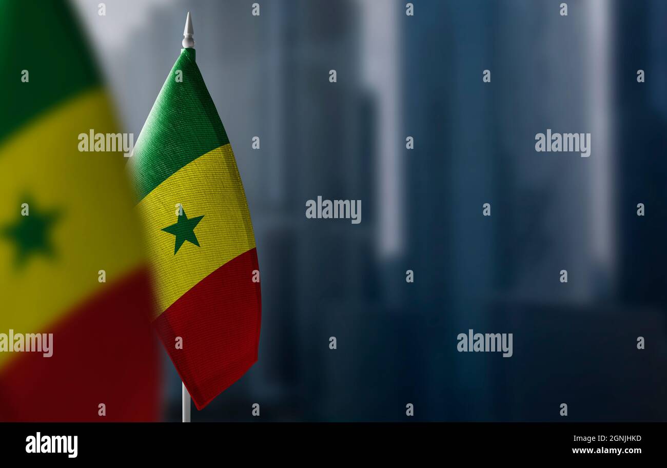 Small flags of Senegal on a blurry background of the city Stock Photo ...