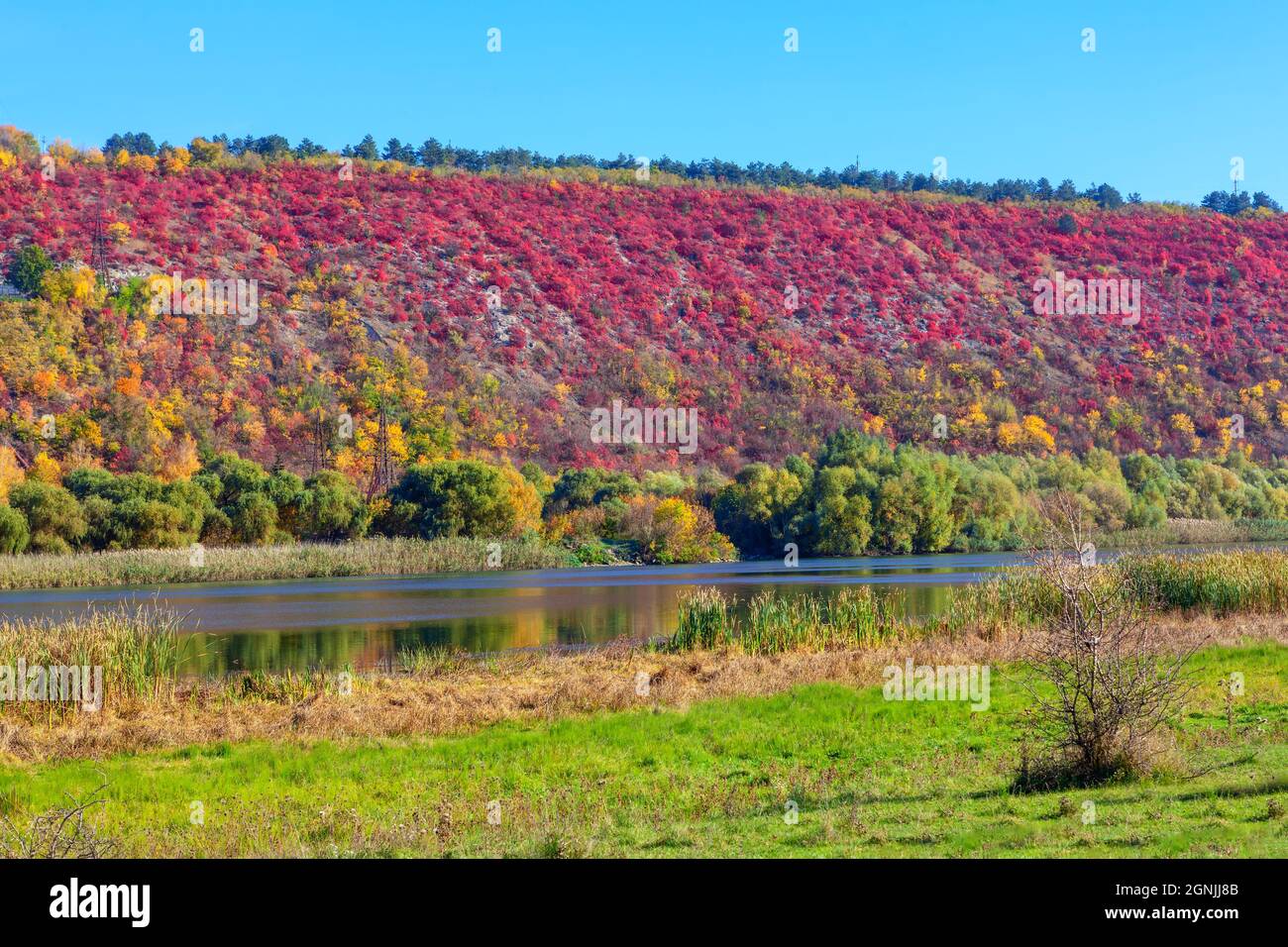 Grass growing riverside outdoors hi-res stock photography and images ...