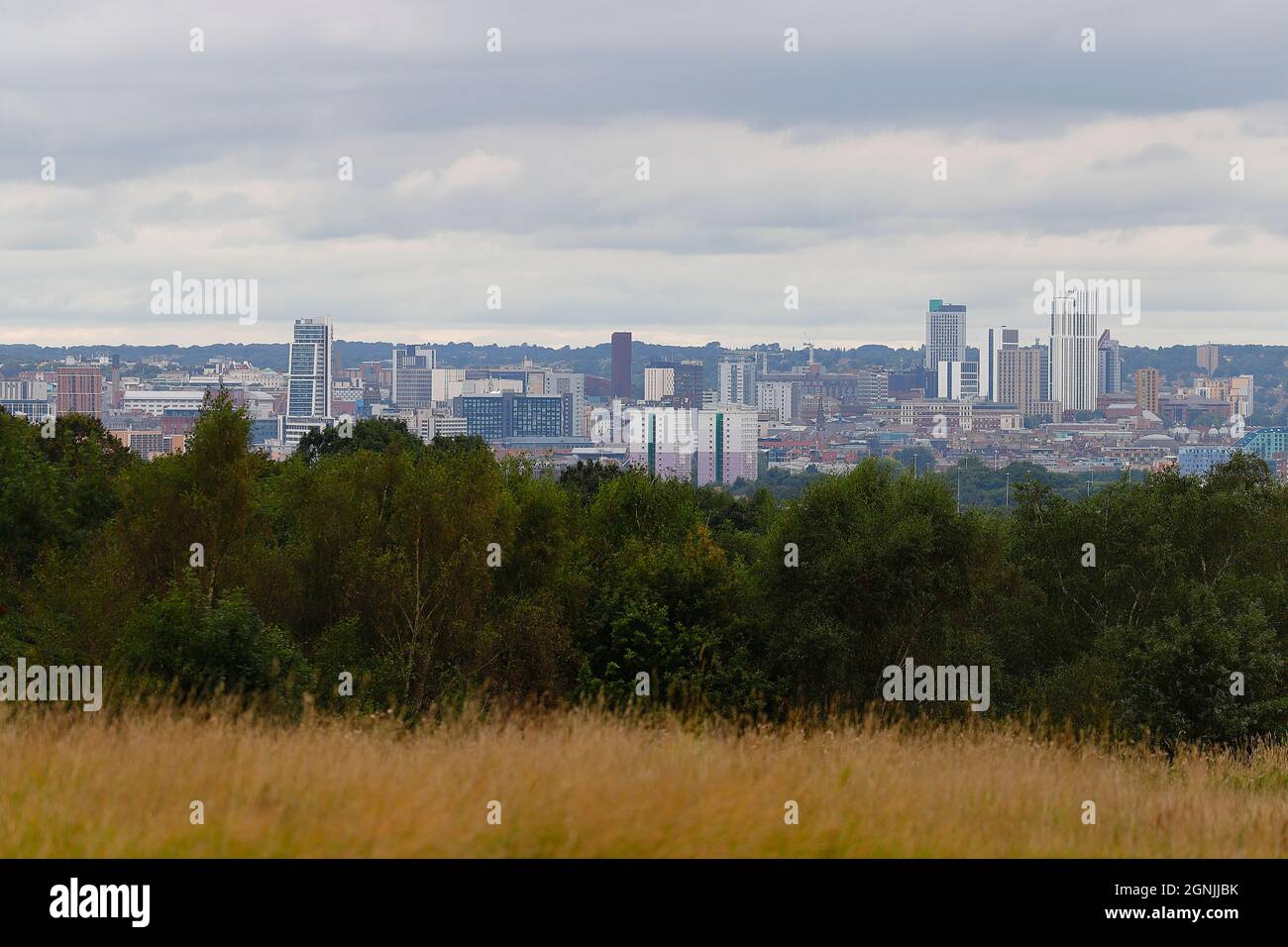 A view across Leeds City Centre from Middleton,West Yorkshire,UK Stock ...