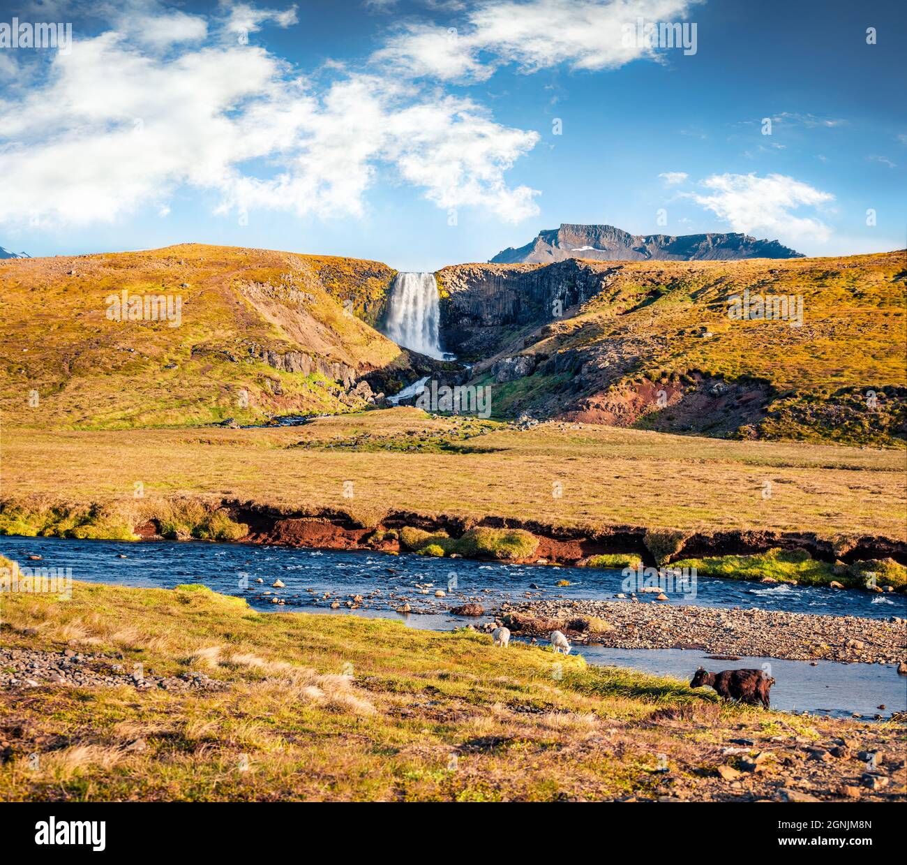 Amazing summer scene of Svodufoss watterfall. Spectacular morning scene ...