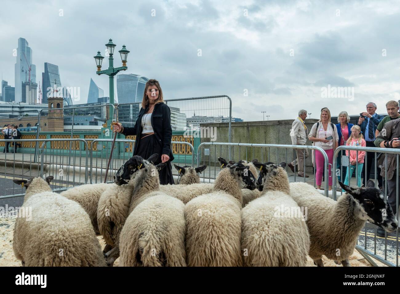 Amanda owen hi-res stock photography and images - Alamy