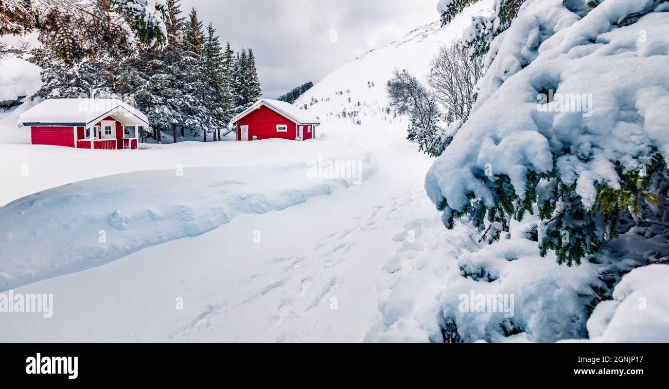 Traditional Norwegian red wooden houses under the fresh snow. Bright ...