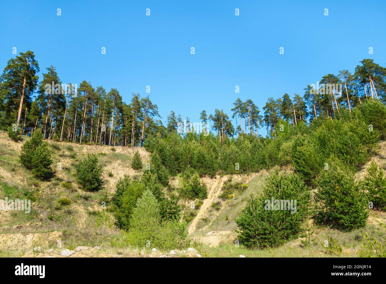 Tree Growing On Edge Cliff High Resolution Stock Photography and Images ...