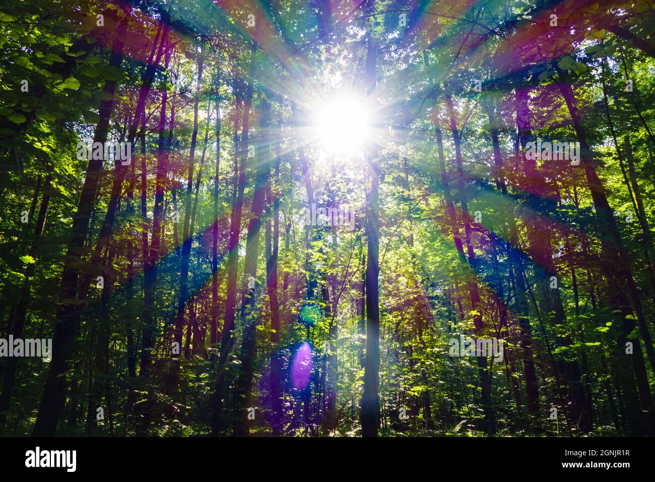 Green Color Spectrum High Resolution Stock Photography and Images - Alamy