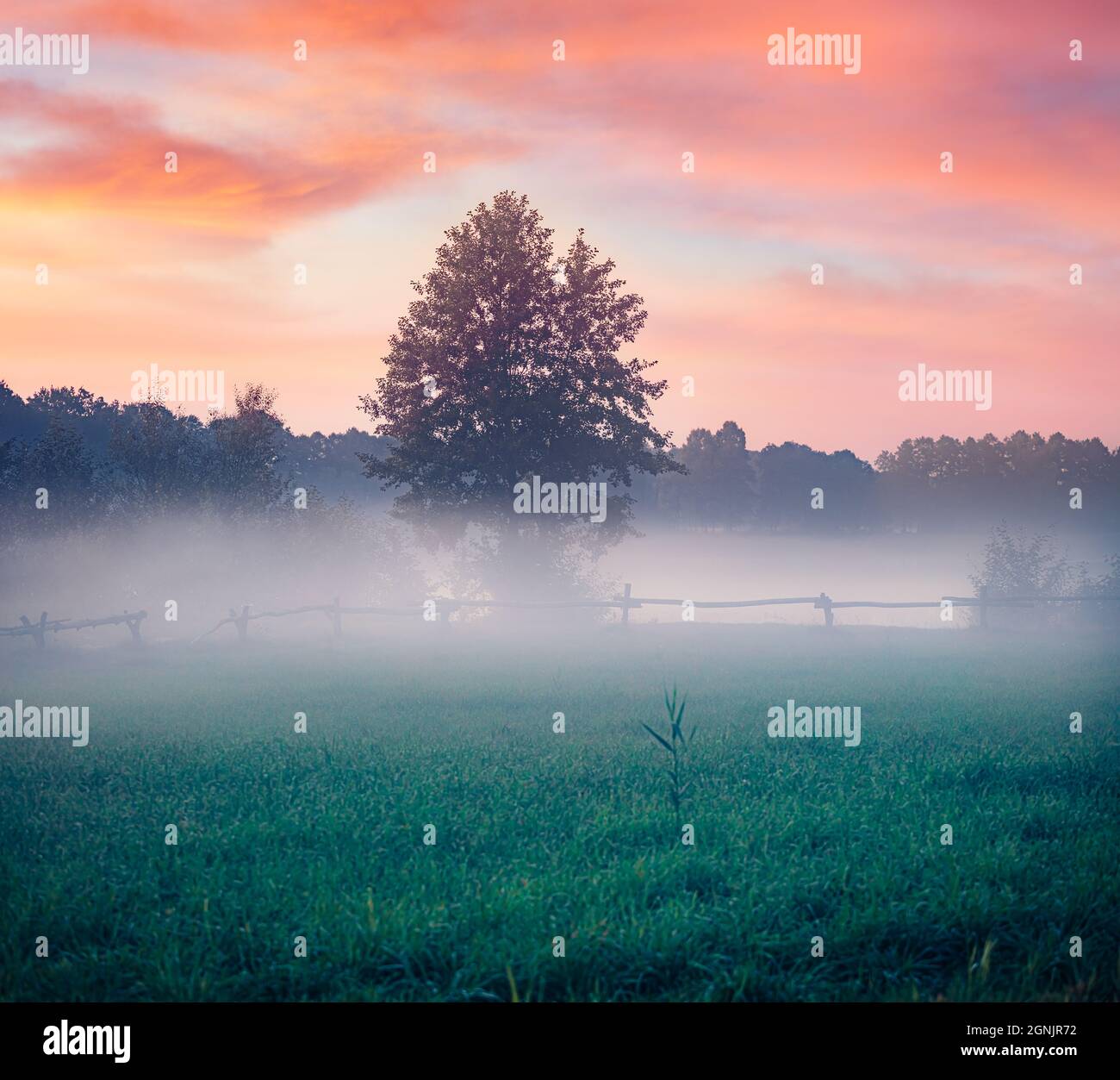 Shatsky national nature park hi-res stock photography and images - Alamy