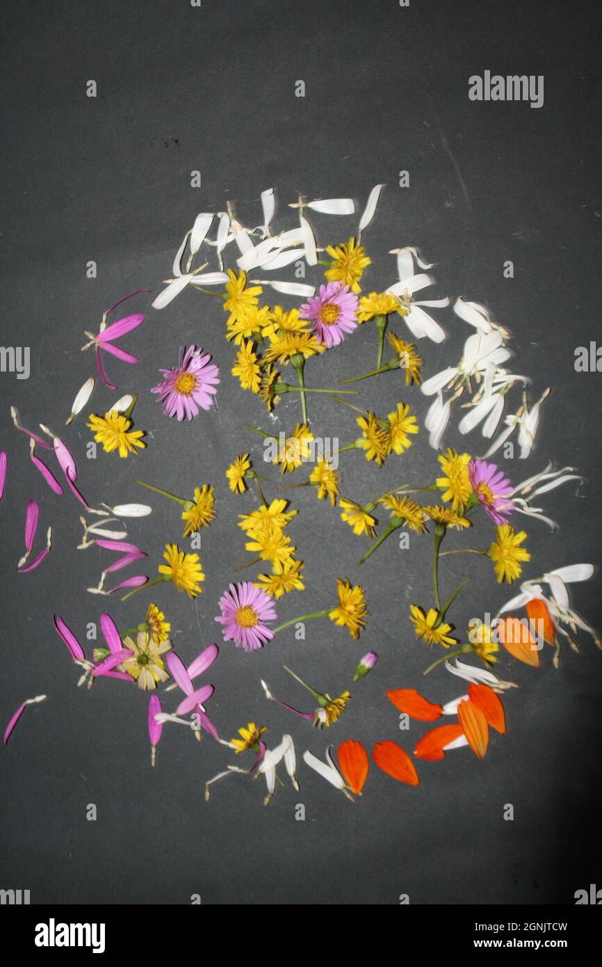 Indian folclore hi-res stock photography and images - Alamy