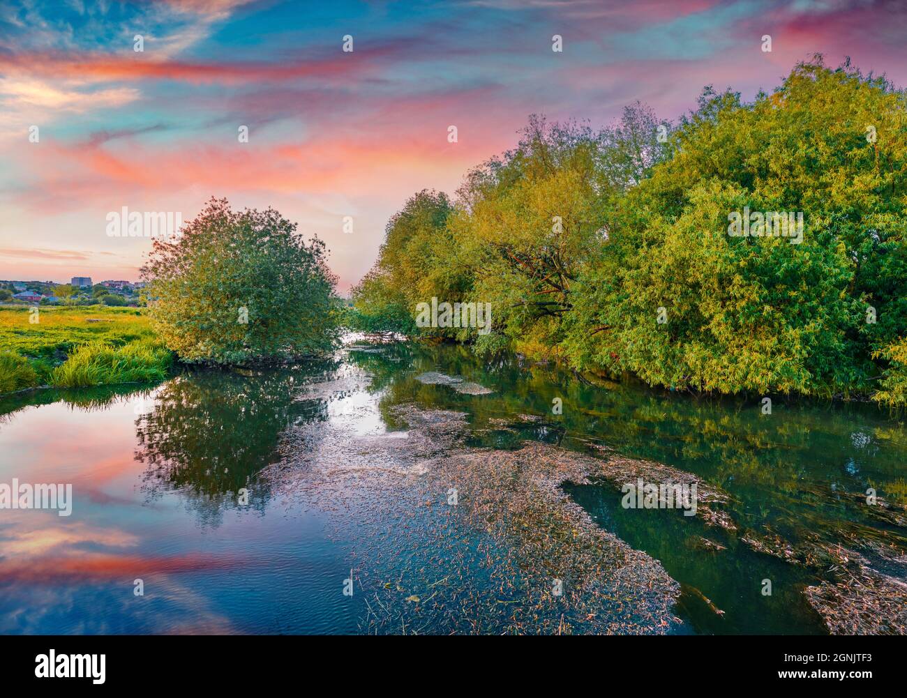 Fantastic summer sunset on Seret river. Fresh green trees on the shore ...