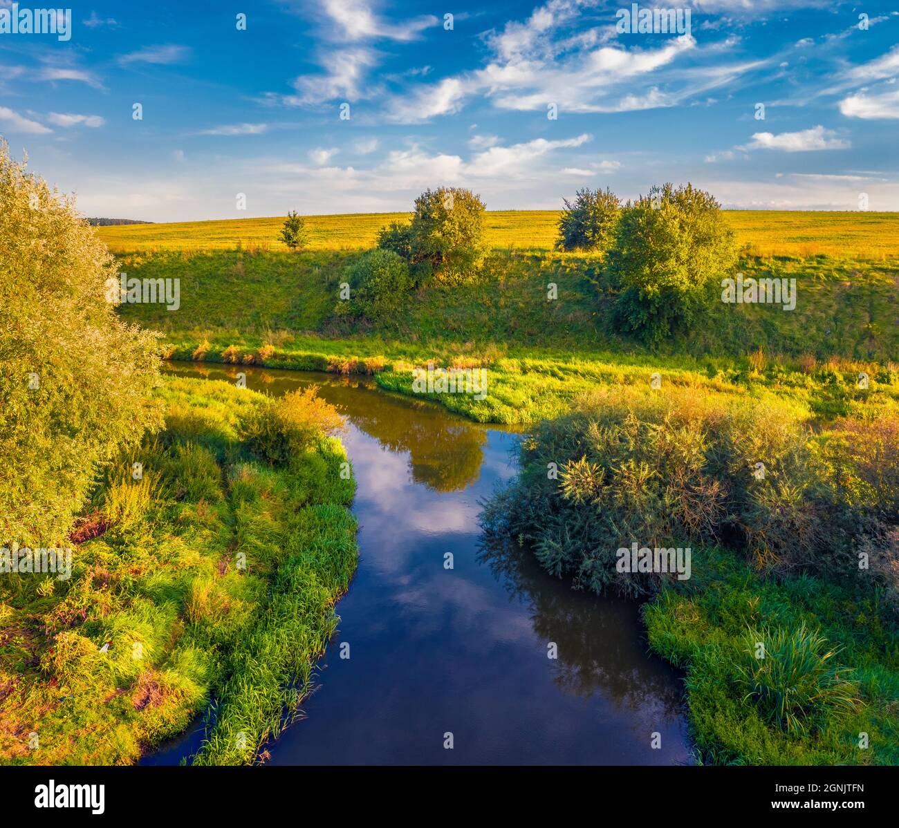 Attractive summer scene of Seret river. Fresh green trees on the shore ...