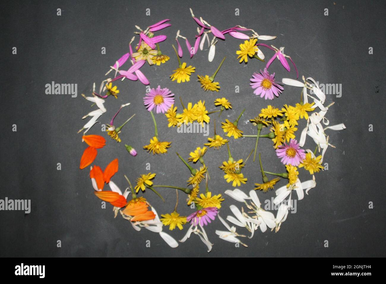 Indian folclore hi-res stock photography and images - Alamy