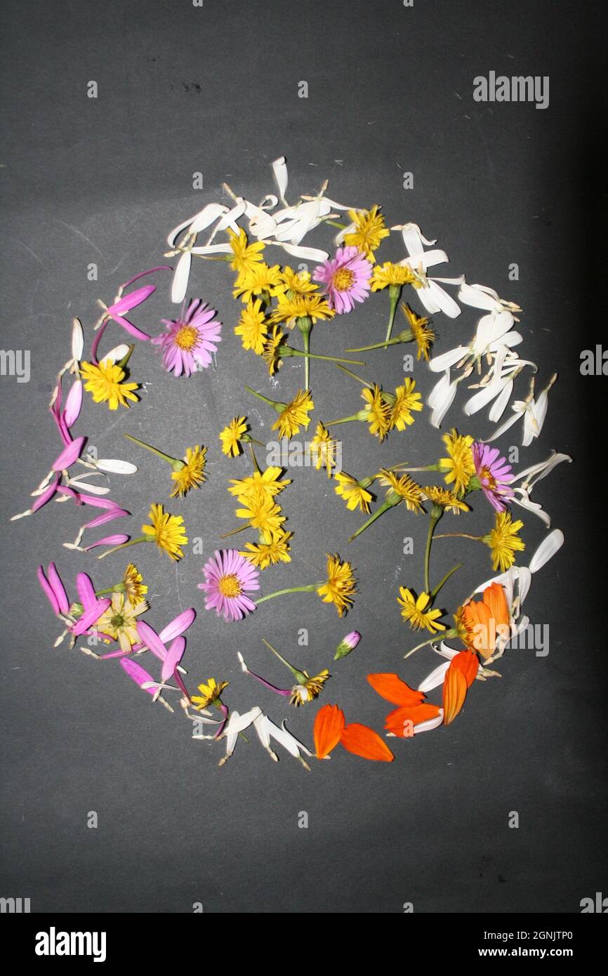 Indian folclore hi-res stock photography and images - Alamy