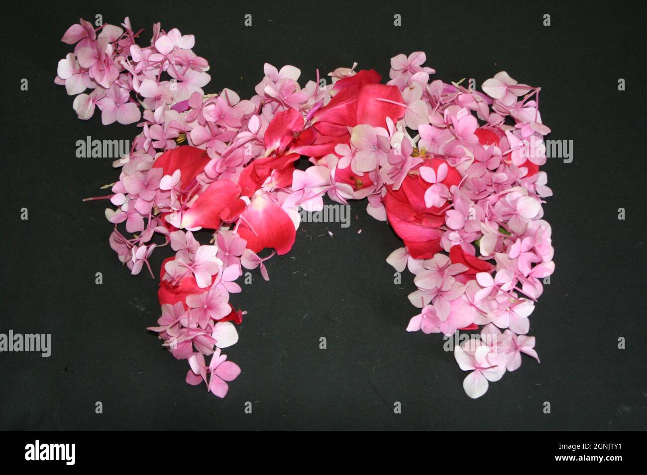 Indian folclore hi-res stock photography and images - Alamy