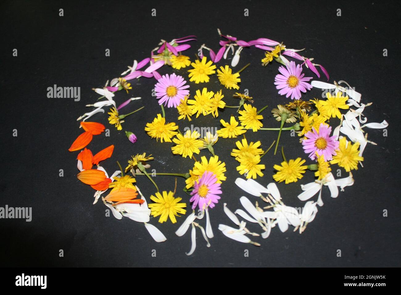 Indian folclore hi-res stock photography and images - Alamy