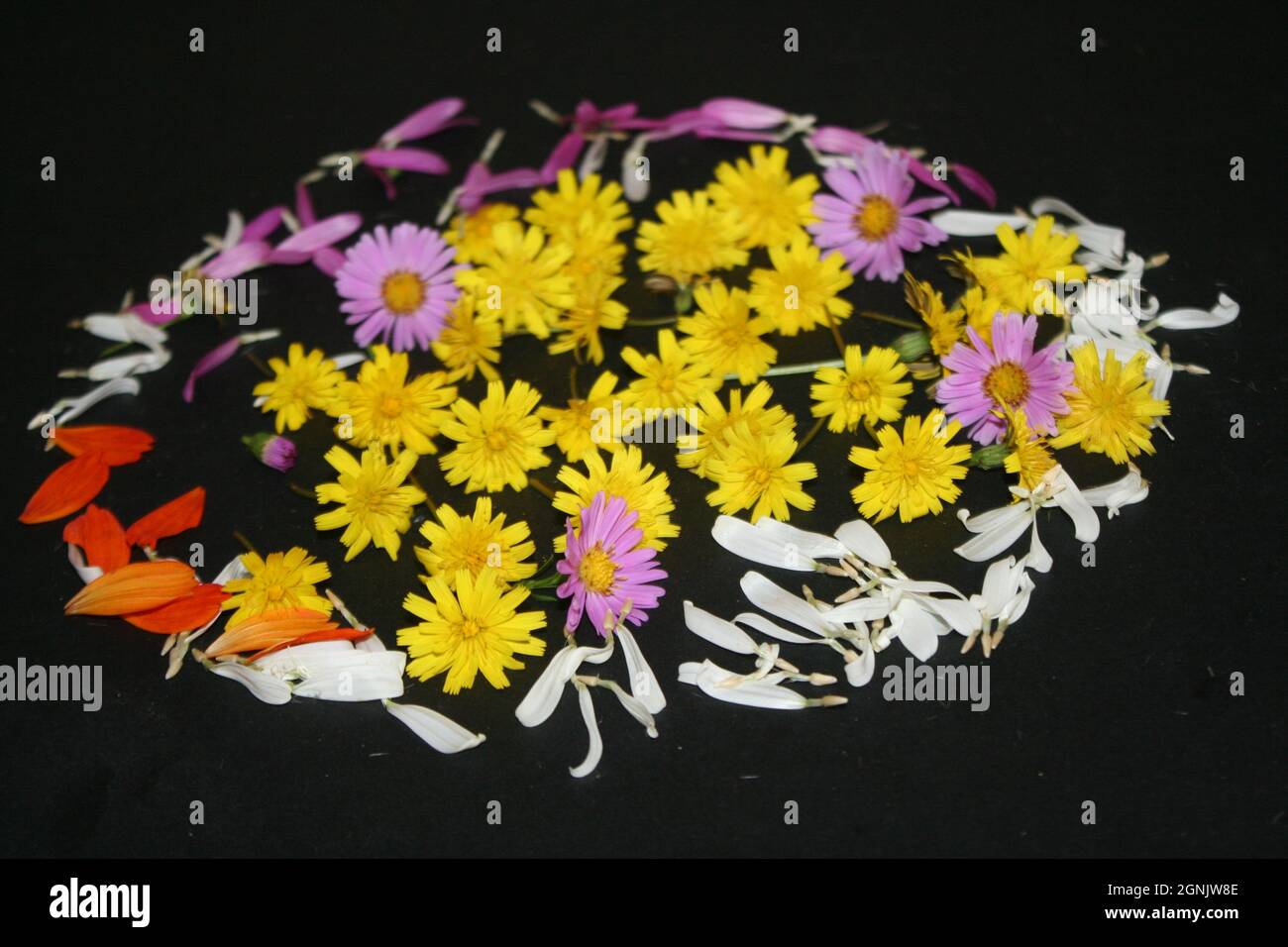 Indian folclore hi-res stock photography and images - Alamy