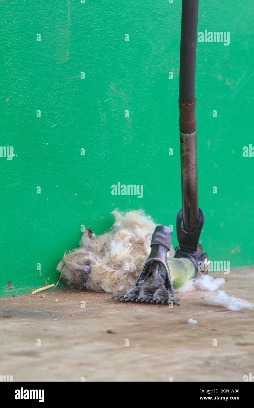 Hand Shearing Electric Tool And Cable Laying Next To Sheared Discarded ...