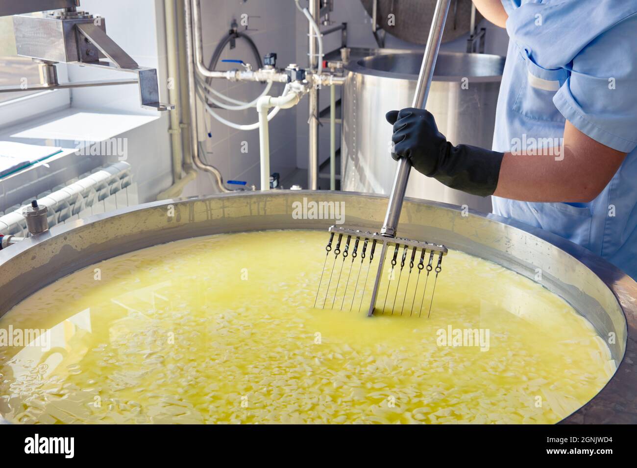 A small family cheese factory in the Carpathian village. The process of ...