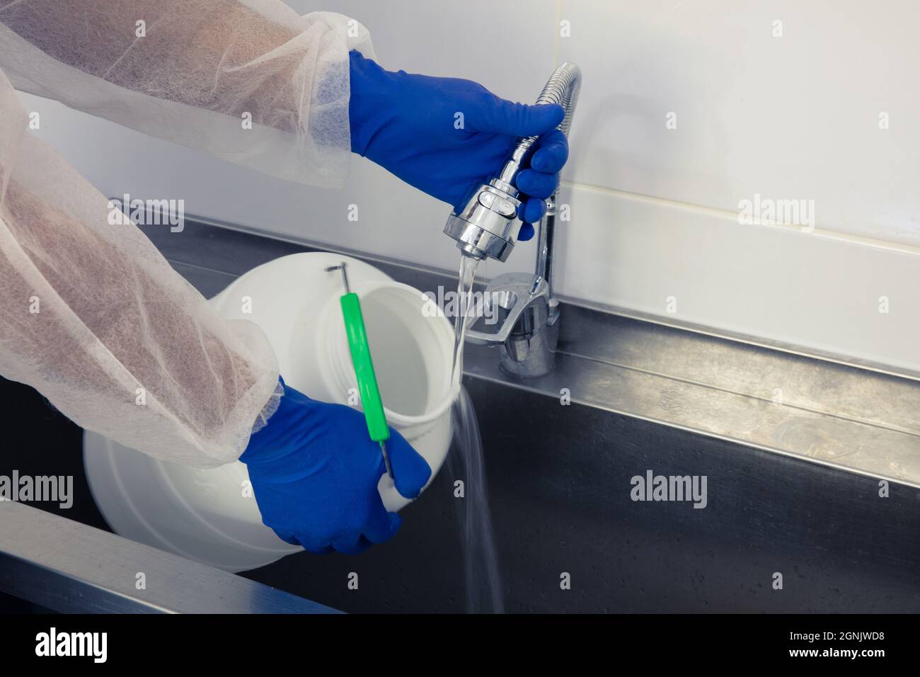 A small family cheese factory in the Carpathian village. Cleaning of ...