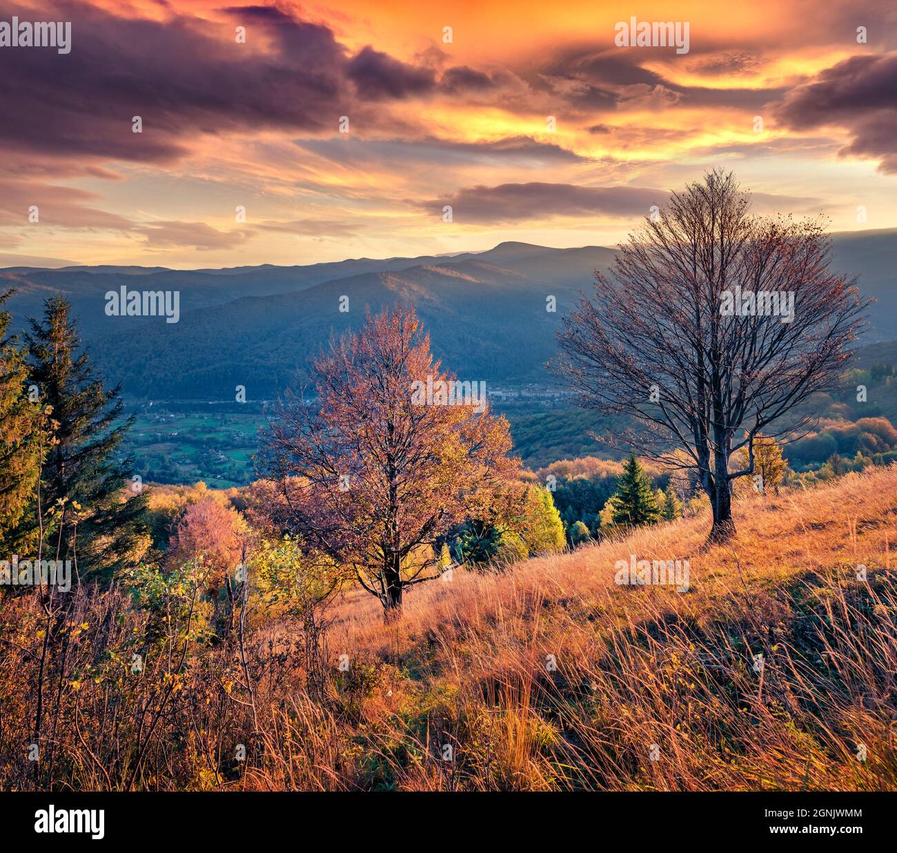 Spectacular autumn view of Carpathian mountains, Ukraine, Europe ...