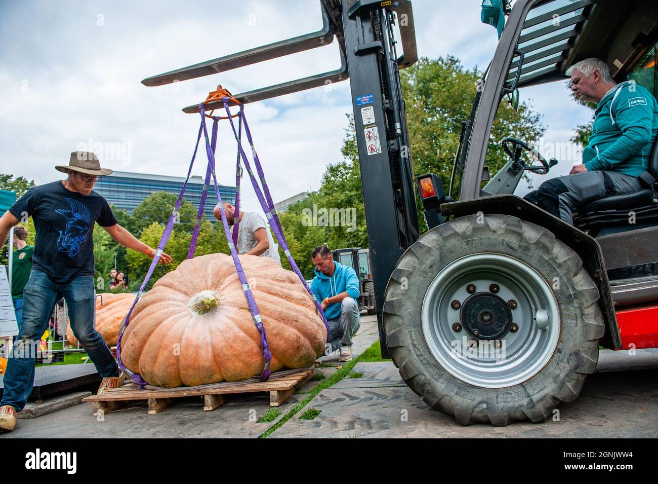 Two men are seen transporting the giant pumpkin with the help of a ...
