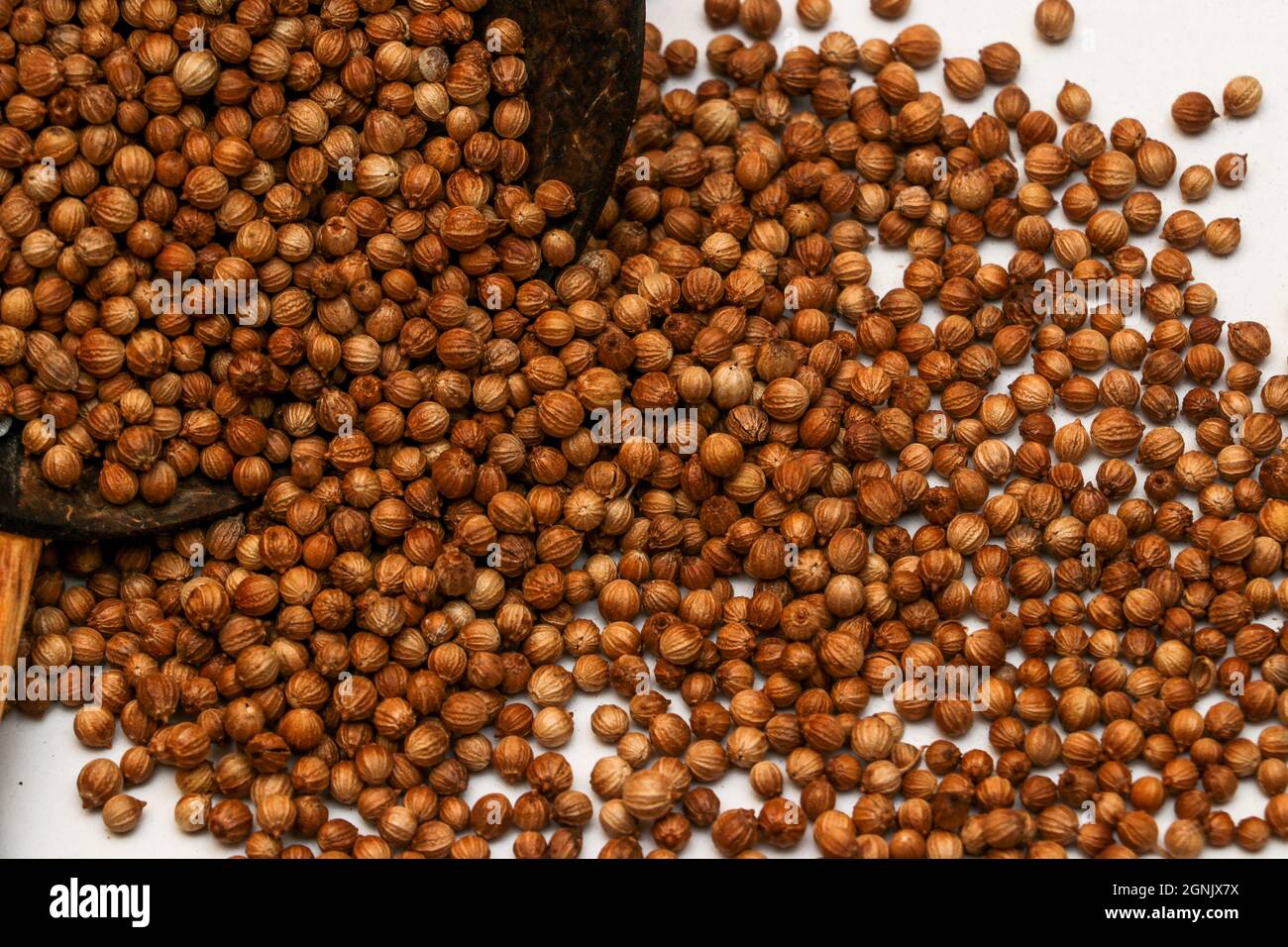 dry coriander seed, isolated on white 01 Stock Photo - Alamy