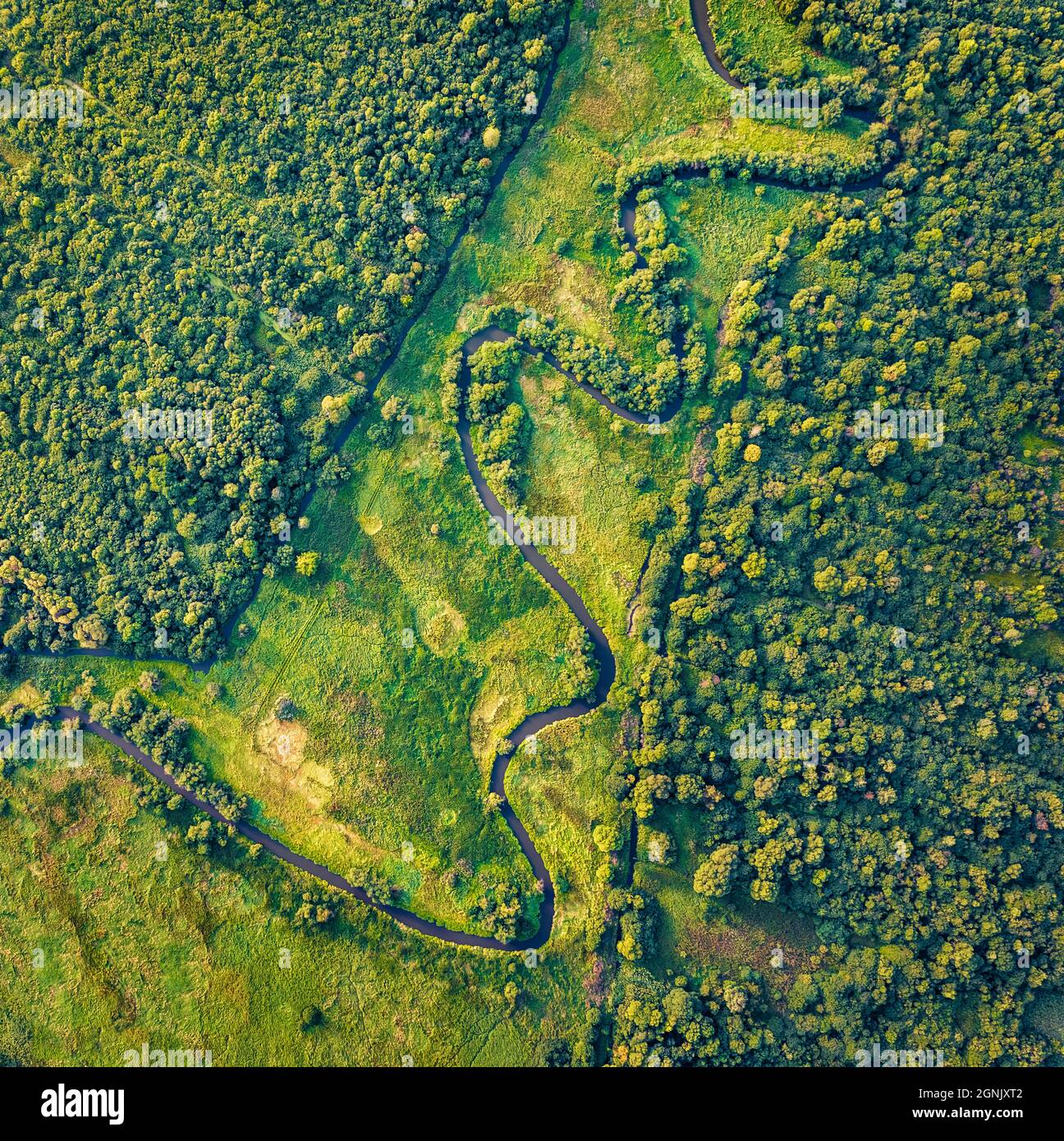 Straight dawn view from flying drone of Seret river, Ternopil region ...