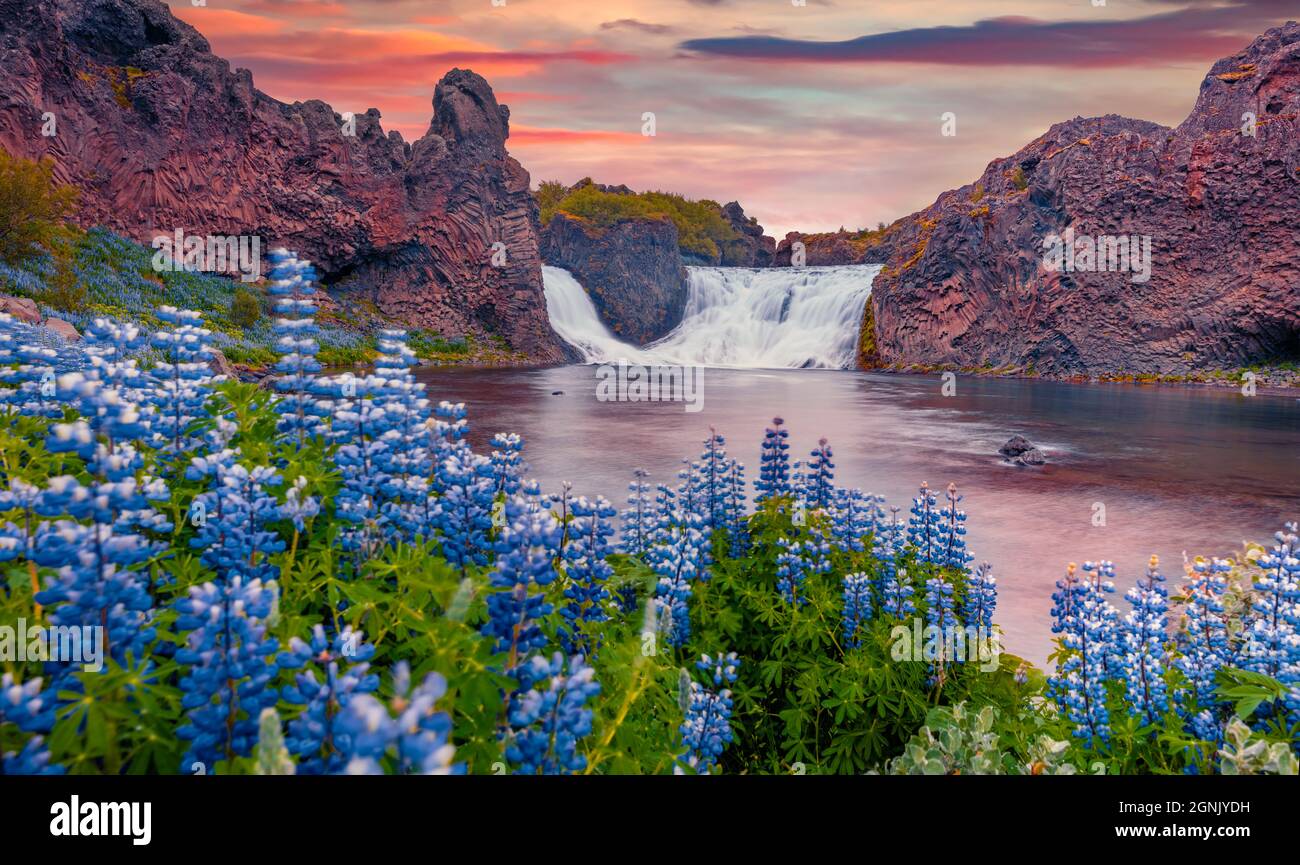 Beautiful summer scenery. Wonderful summer view of Hjalparfoss ...