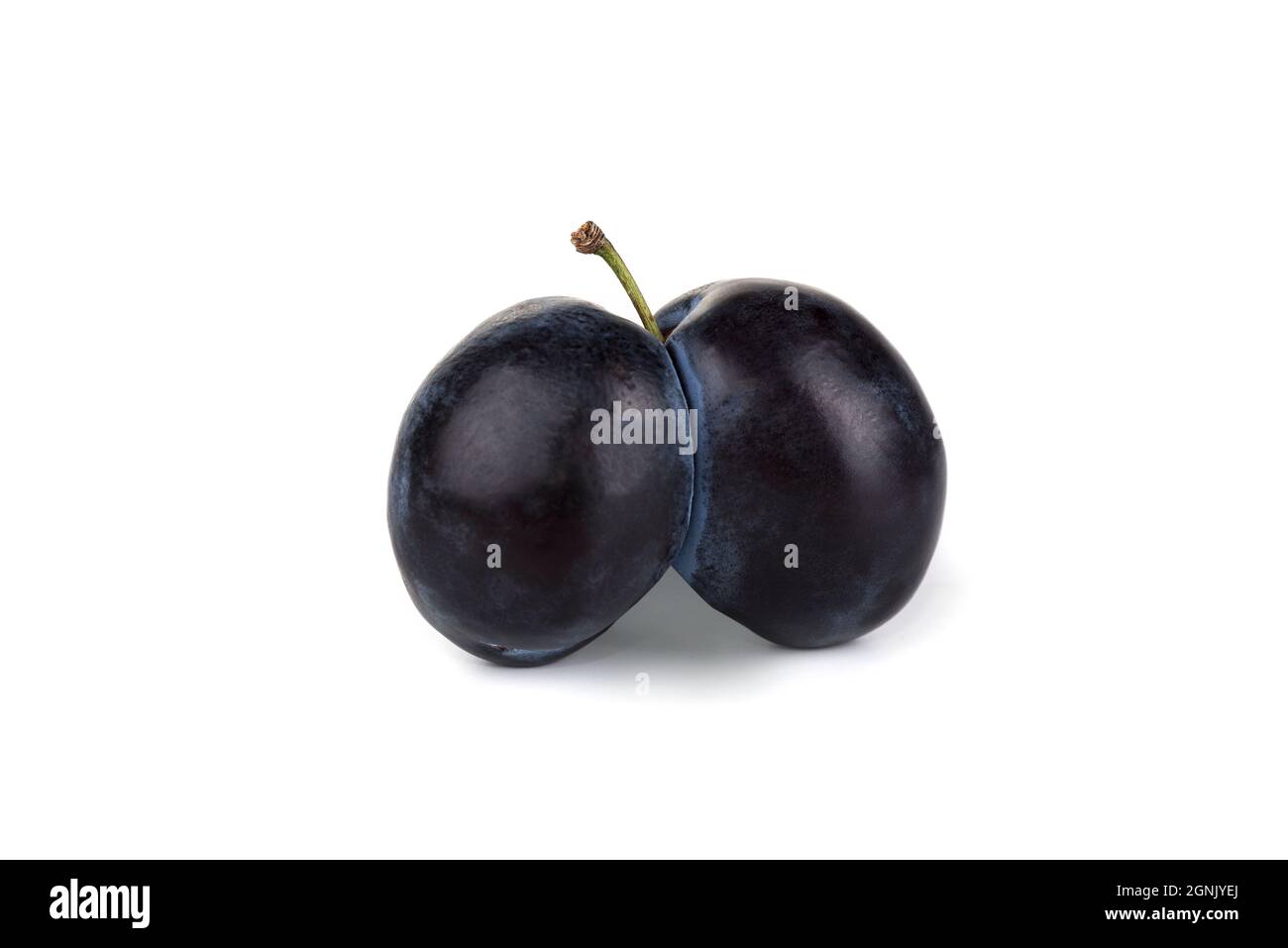 Double plum on a white background. Abnormal concept Stock Photo - Alamy