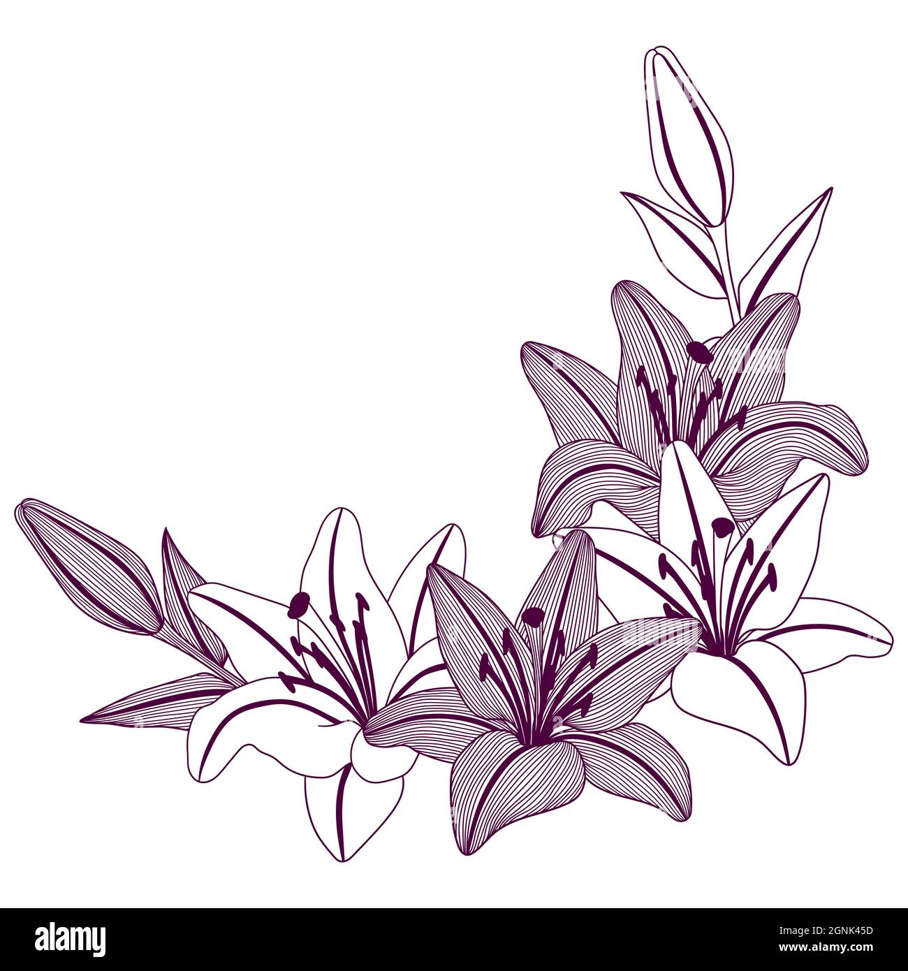 Frame with stylized lily flowers. Decorative image of beautiful buds ...