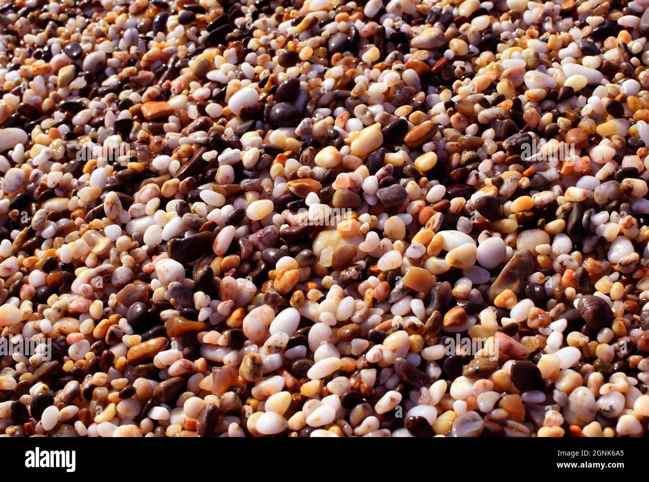 Natural texture background, colorful sea stones in water, top view ...