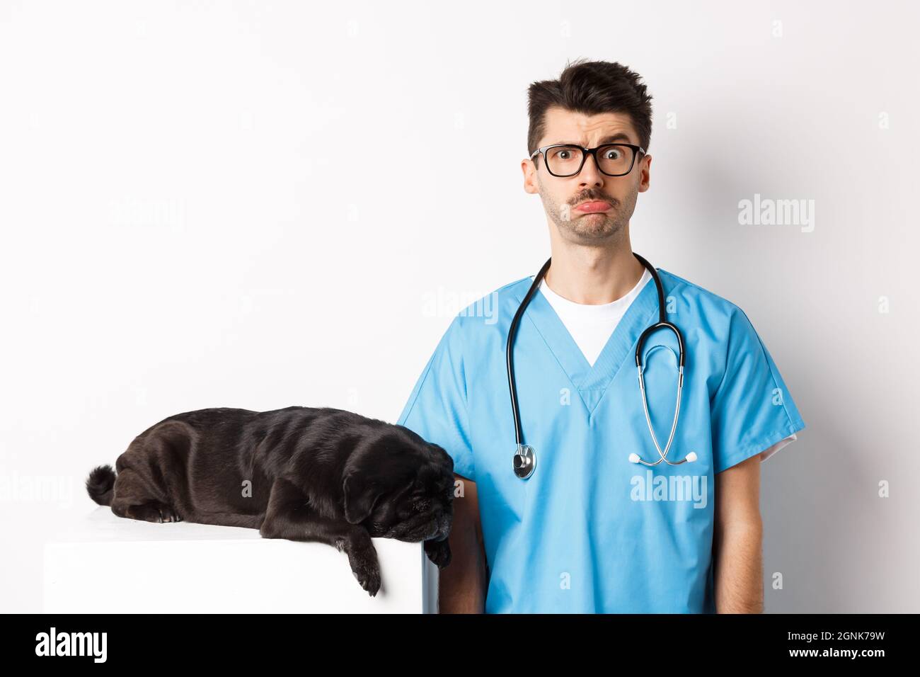 Tired black dog pug lying near handsome male doctor at veterinary ...