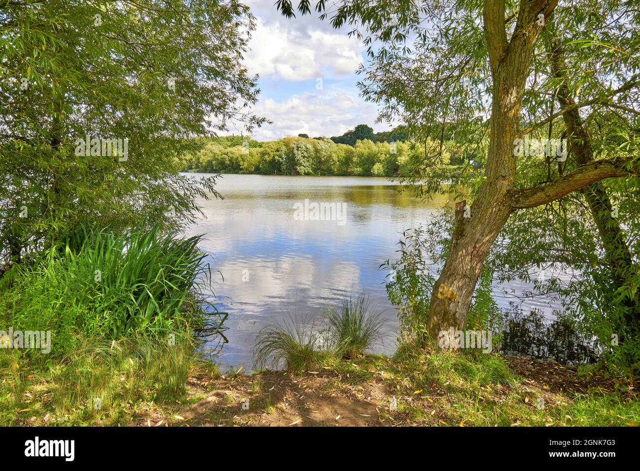 Elsecar Park Lake and Nature Reserve, Barnsley, England Stock Photo - Alamy