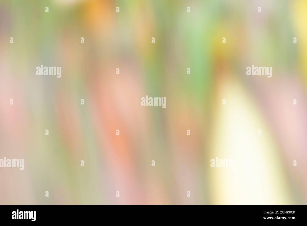 soft fuzzy defocused light background pleasant to the eyes, a backdrop ...