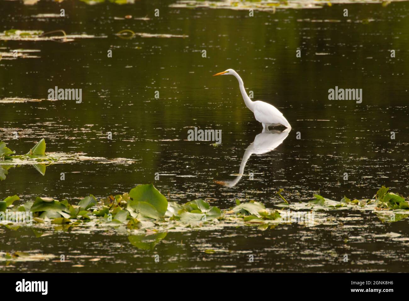 Carty lake trail hi-res stock photography and images - Alamy