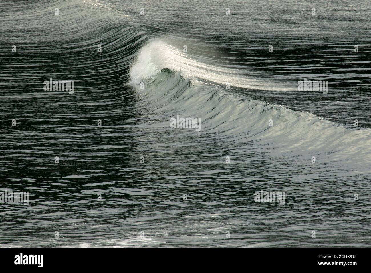 Wave in Crescent Bay, Salt Creek Recreation Area, Strait of Juan de ...
