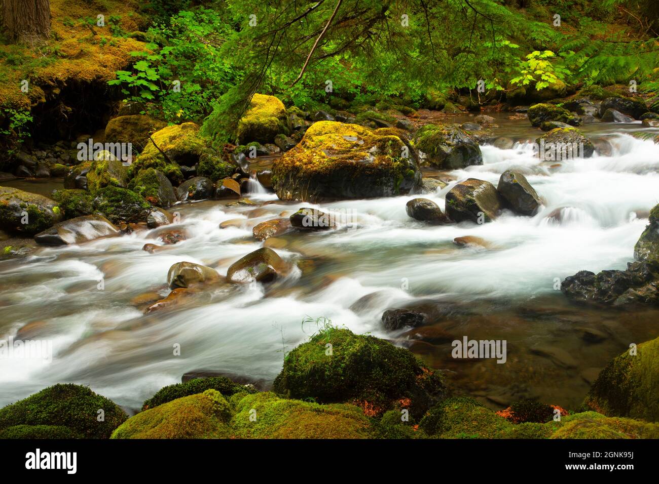Dungeness river hi-res stock photography and images - Alamy