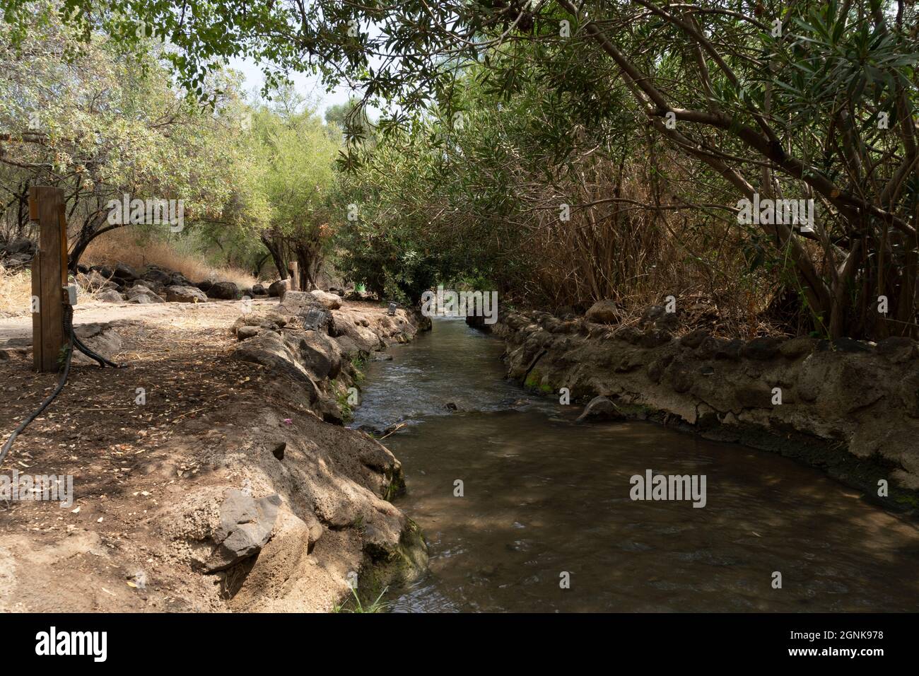 Northern jordan trees hi-res stock photography and images - Alamy
