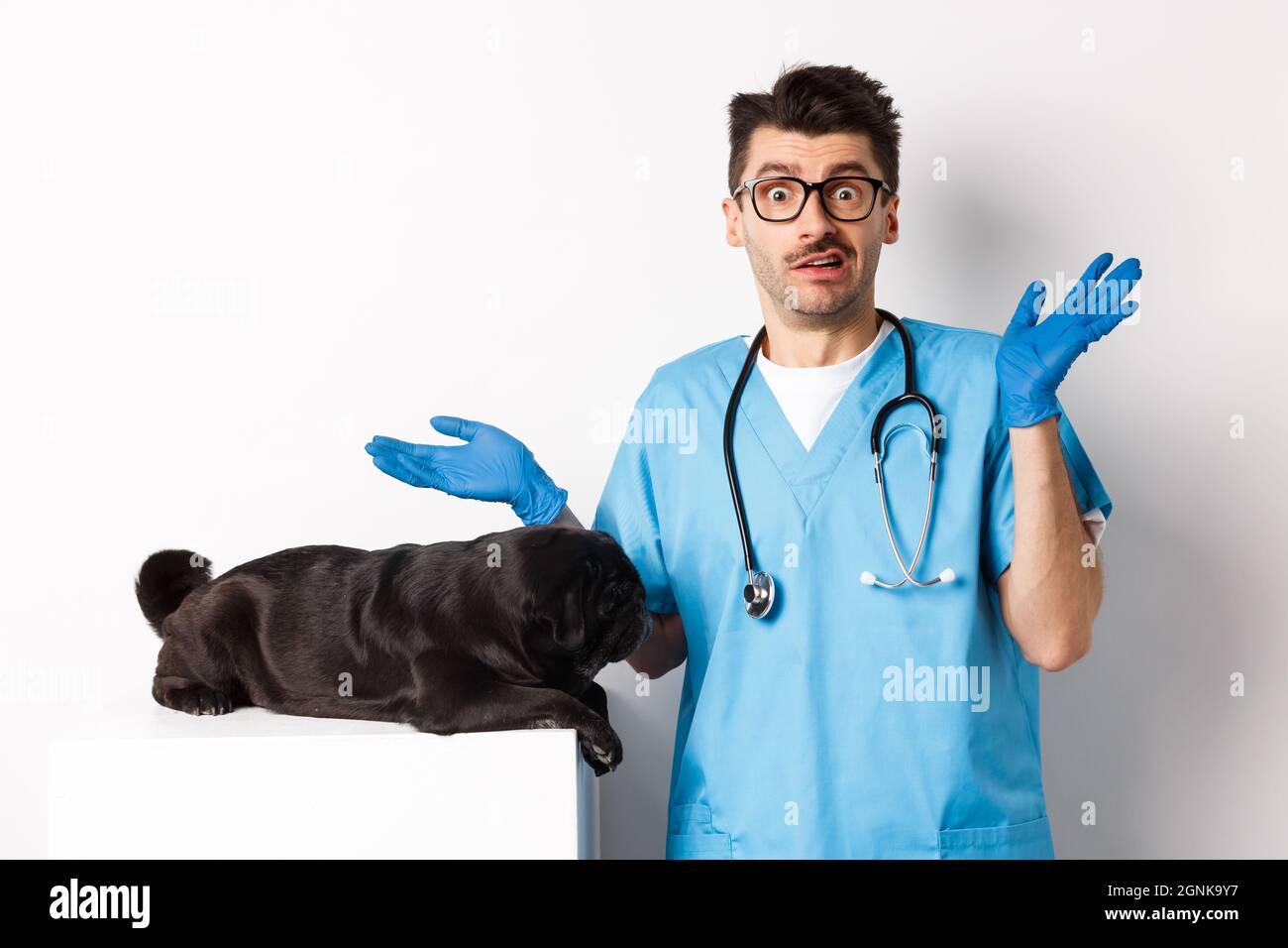 Veterinarian doctor intern in scrubs shrugging, confused how to examine ...